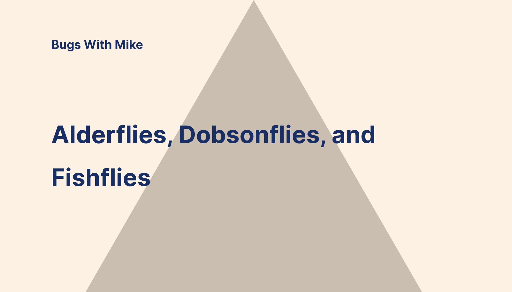 Alderflies, Dobsonflies, and Fishflies