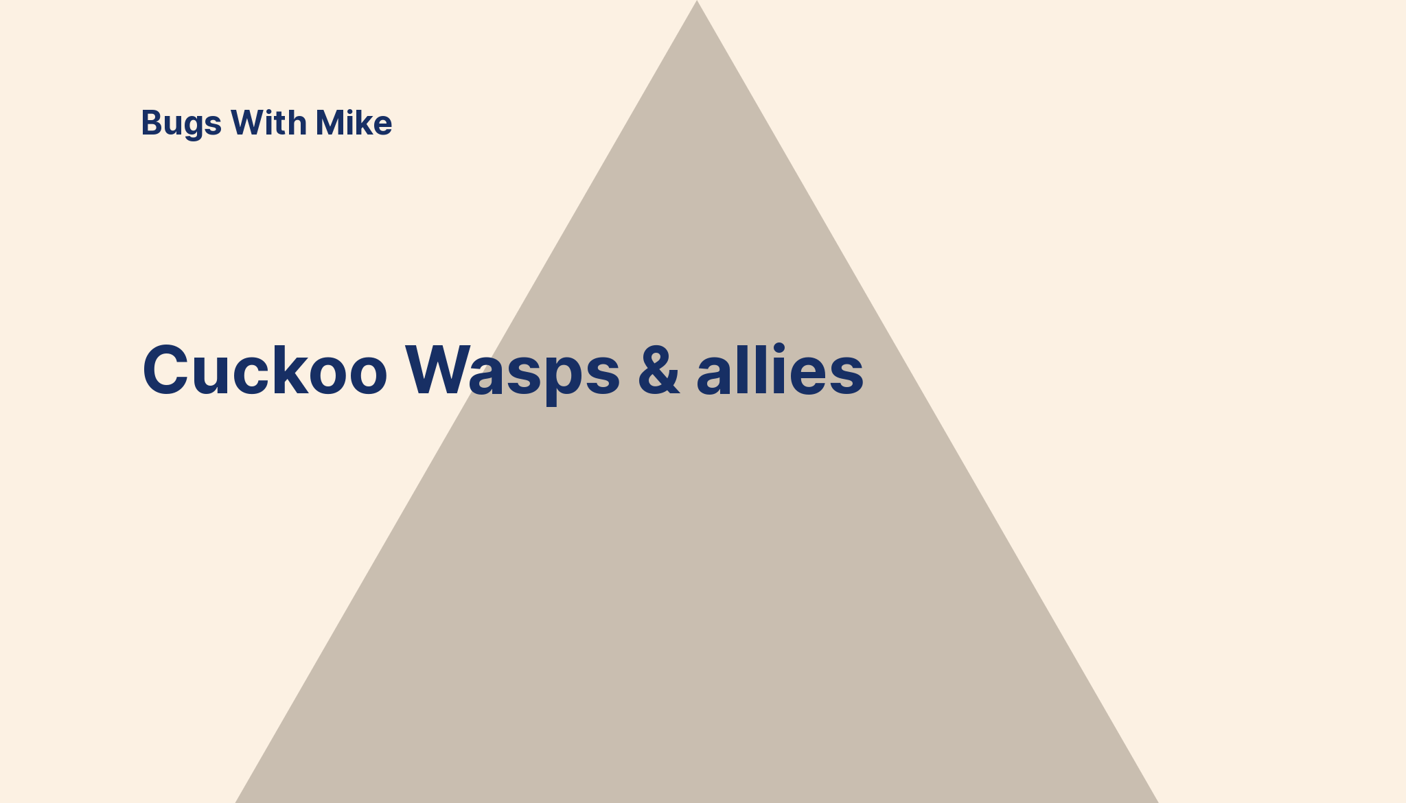 Cuckoo Wasps & allies