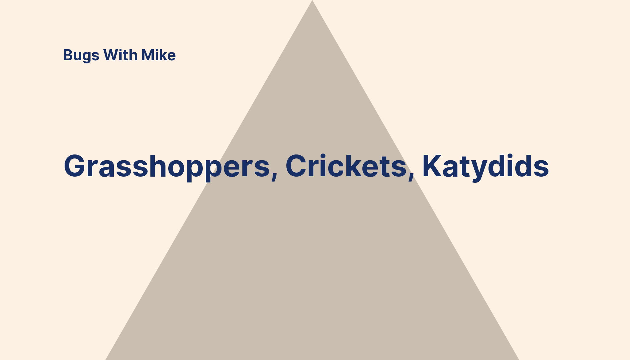 Grasshoppers, Crickets, Katydids