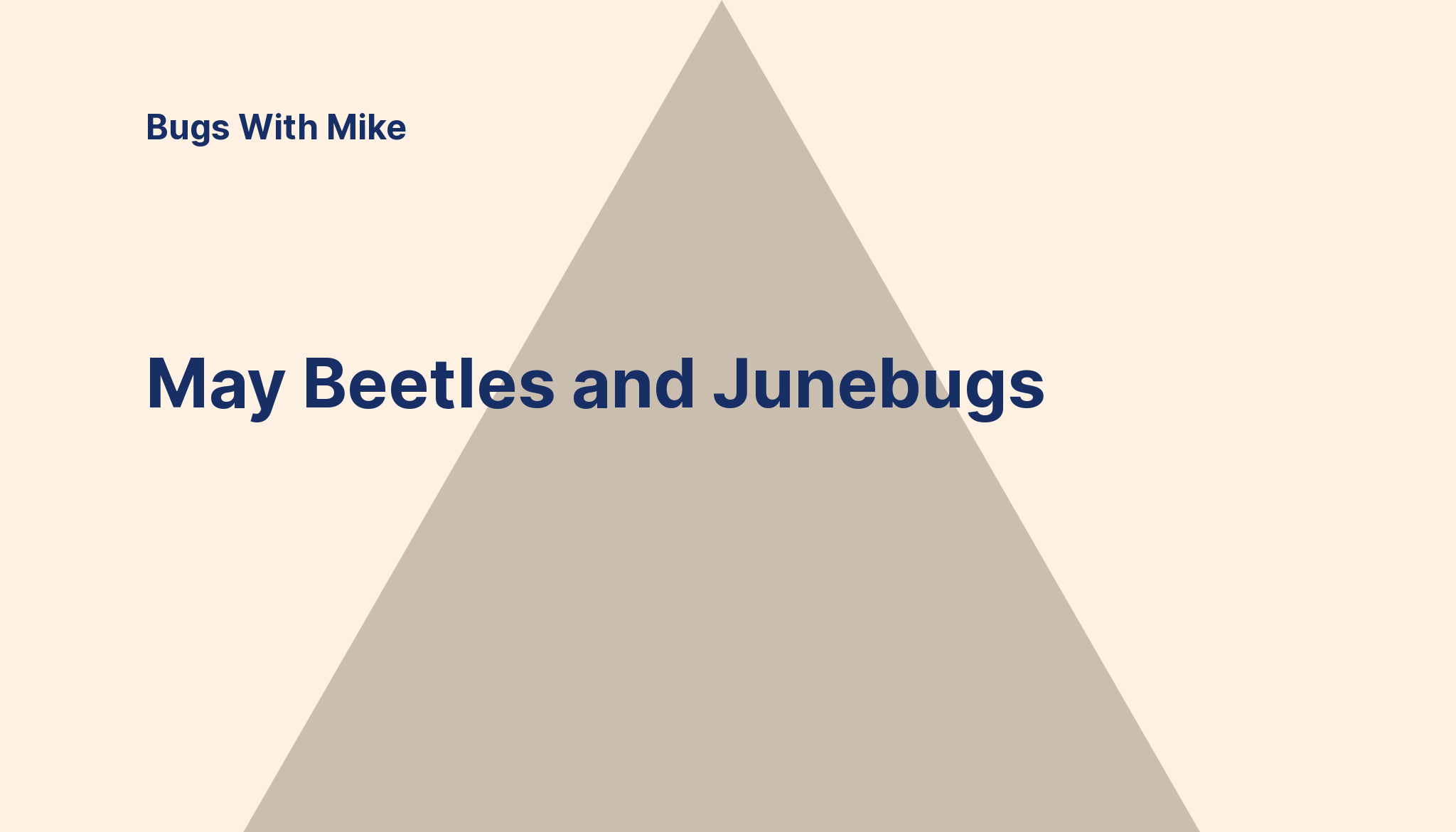 May Beetles and Junebugs