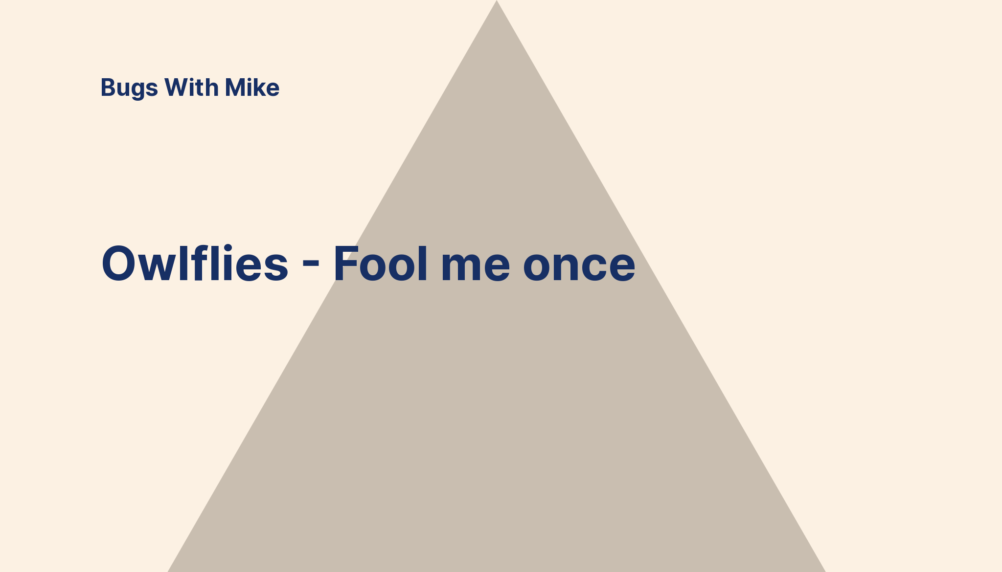 Owlflies - Fool me once