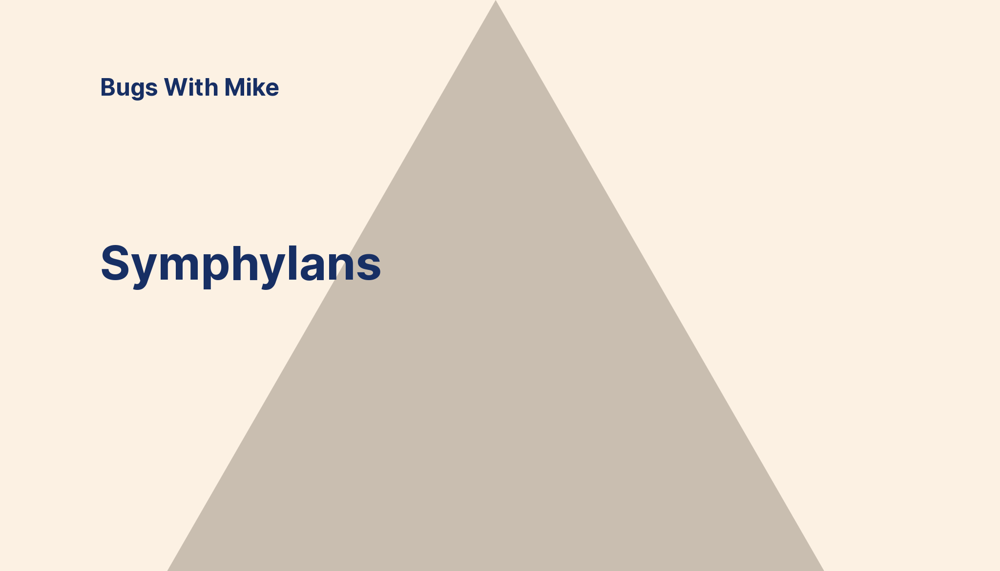 Symphylans
