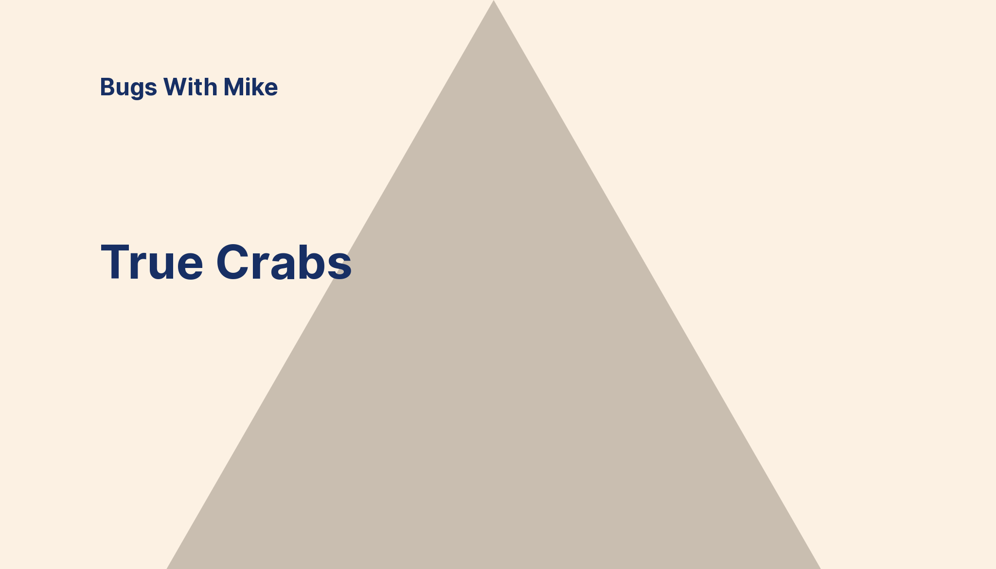 True Crabs