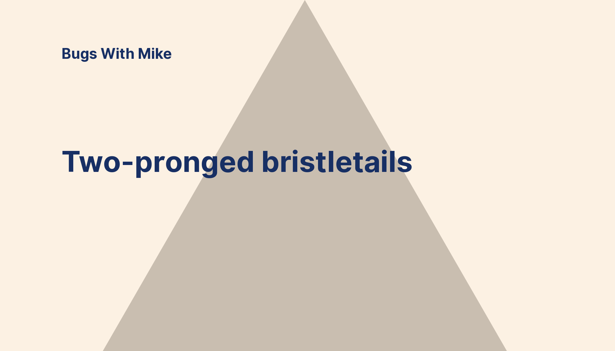 Two-pronged Bristletails