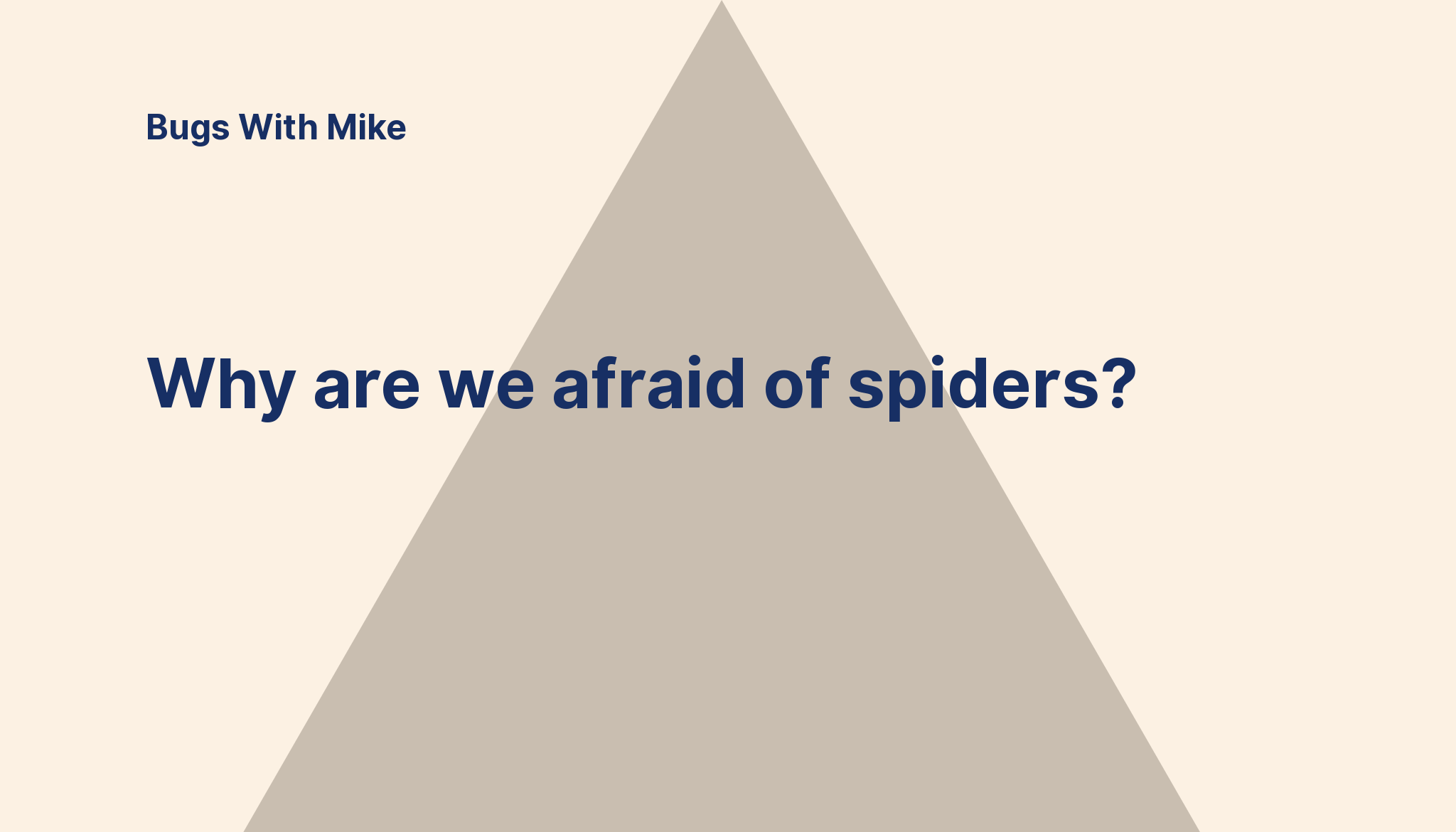 Why are we afraid of spiders?